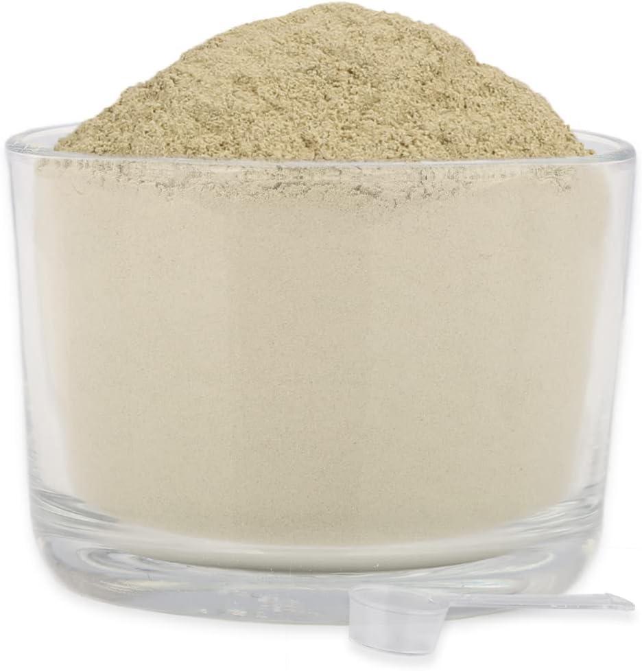 Reavet Gastric Mild Powder for Cats 50g - Natural Digestive Support ...