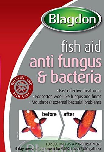 Blagdon Fast Acting Anti-Fungus & Bacteria Water Treatment for All Pond ...