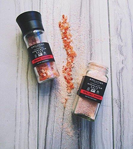 Buy Evolution Salt Co. Fine Gourmet Pink Himalayan Salt - 17 oz Soft ...