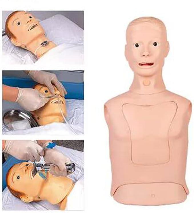 Uigjiog Extended Nasogastric Probe & Tracheal Supply Model - Advanced ...