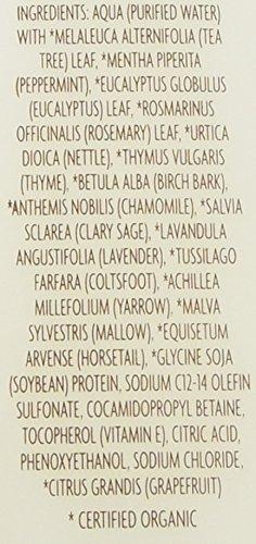 Trader Joe's Tea Tree Tingle Shampoo with Peppermint Tea Tree and ...