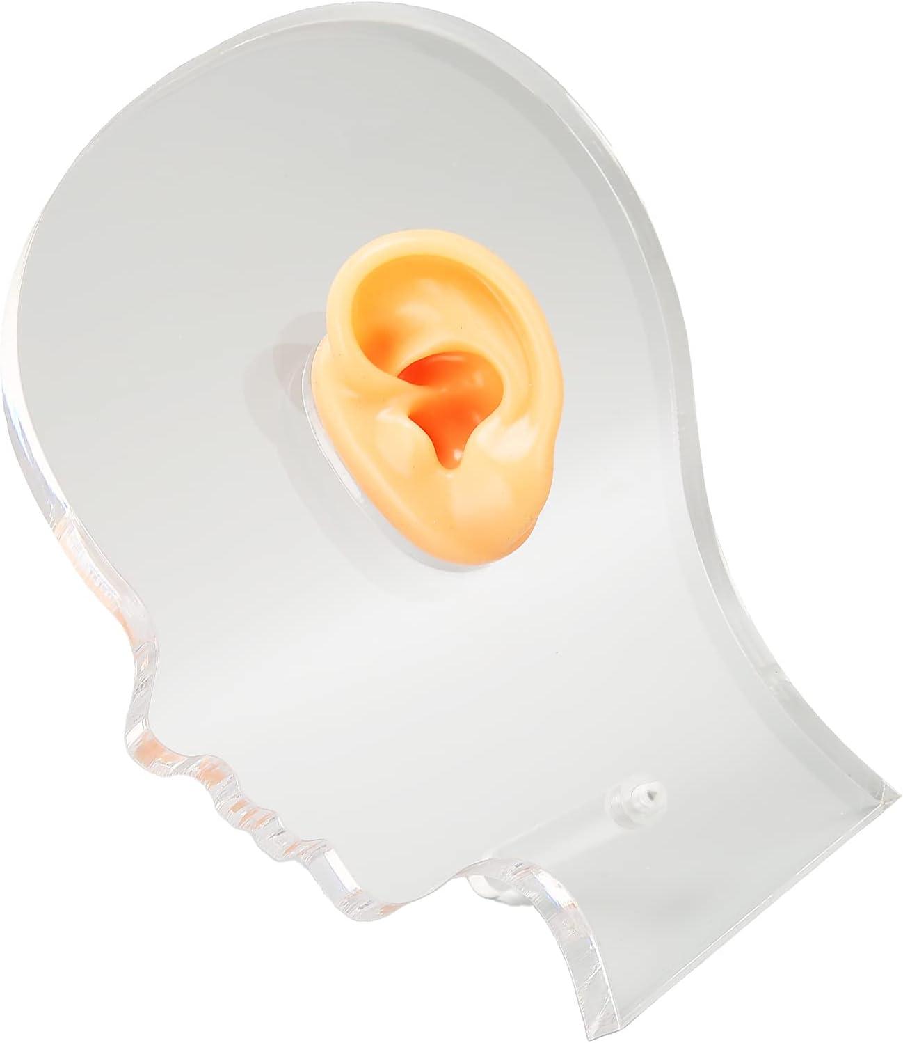 Ear Display Mould Lifelike Soft Fake Ear Model Professional Silicone ...