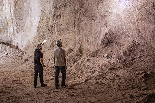 Gold Nugget Ghee's Utah Sea Salt: USDA Organic Grass-Fed Butter 8oz ...