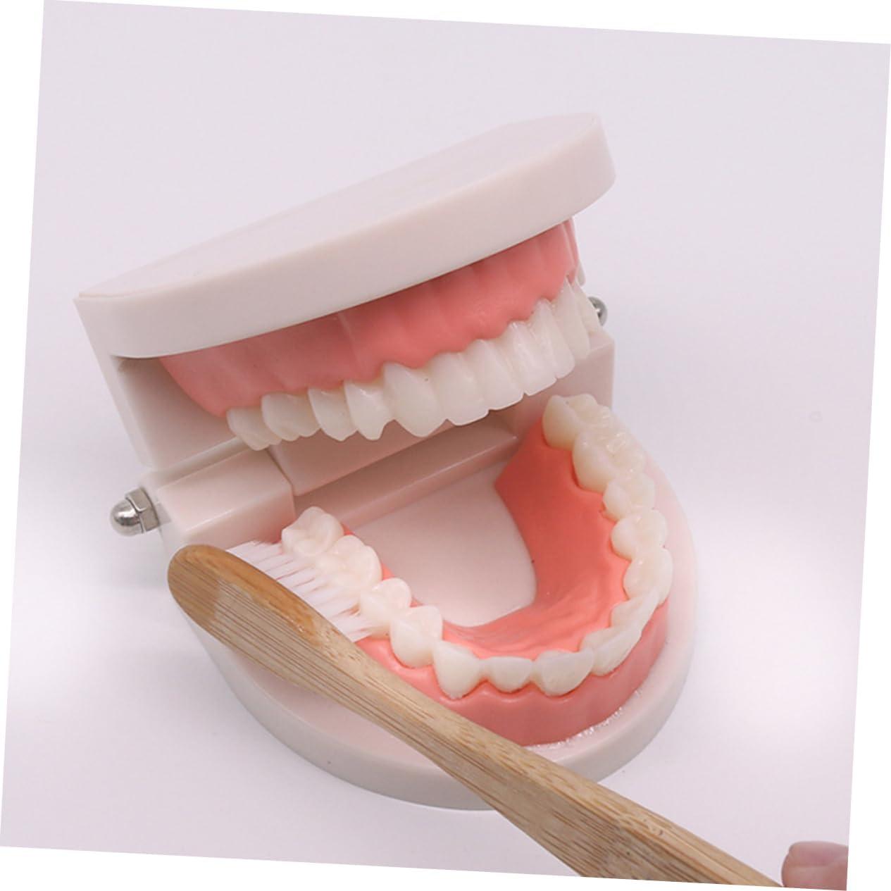 Minkissy Educational Tooth Brushing Toy Set - Early Learning Teeth ...