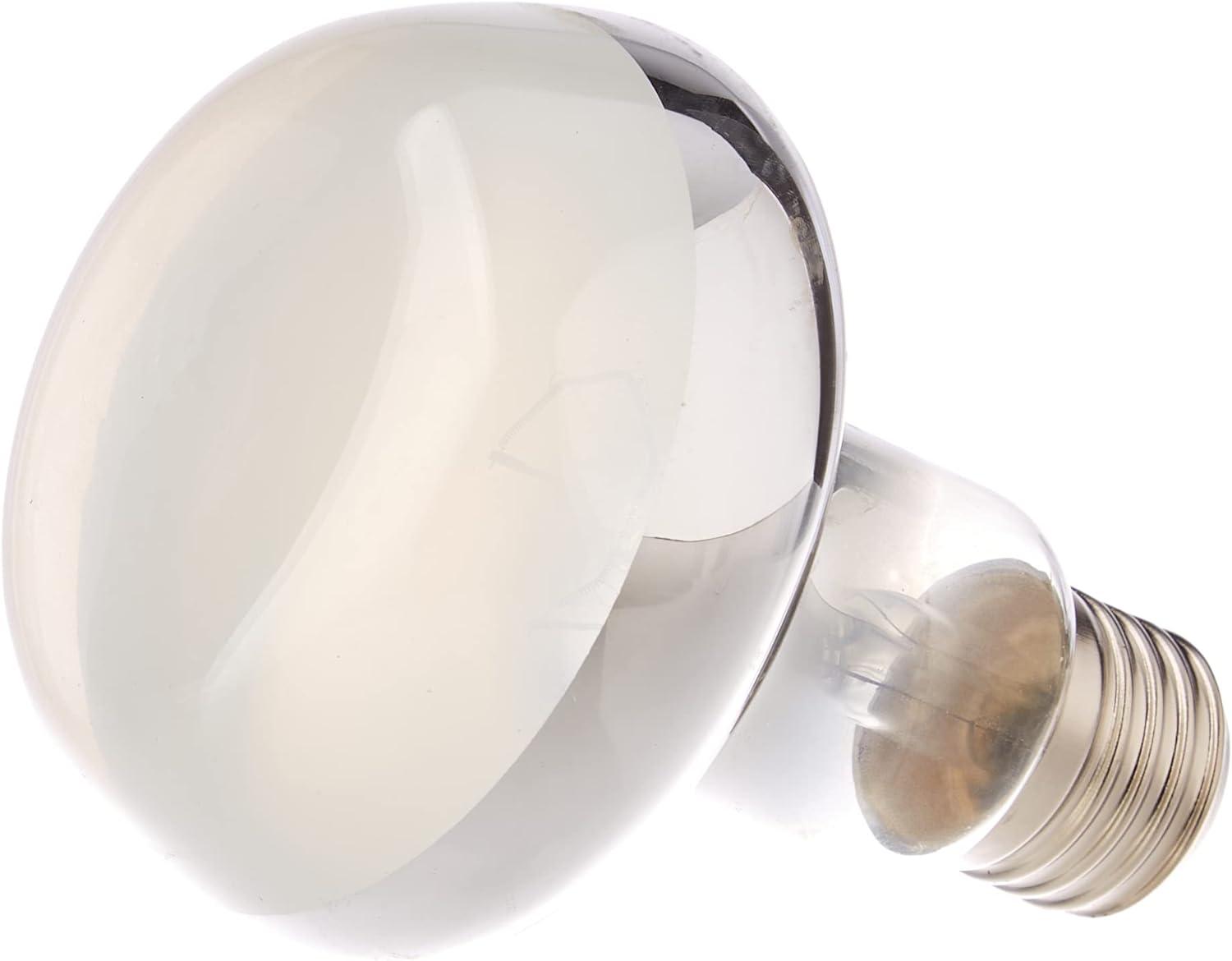 Trixie Basking Spot Lamp 100 Watt 80 x 100 mm | Buy Now with Express ...