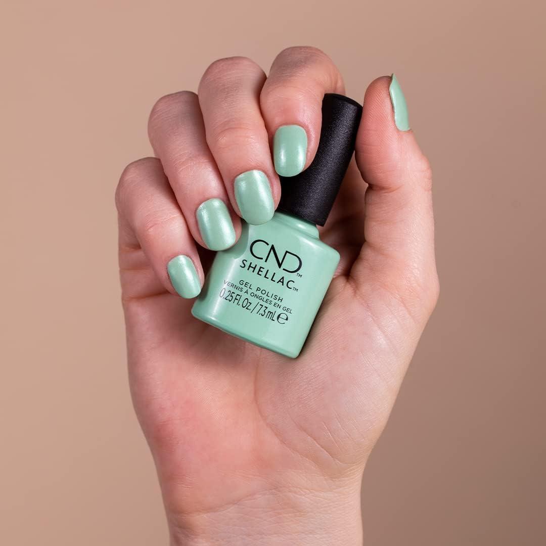 shellac spring 2023