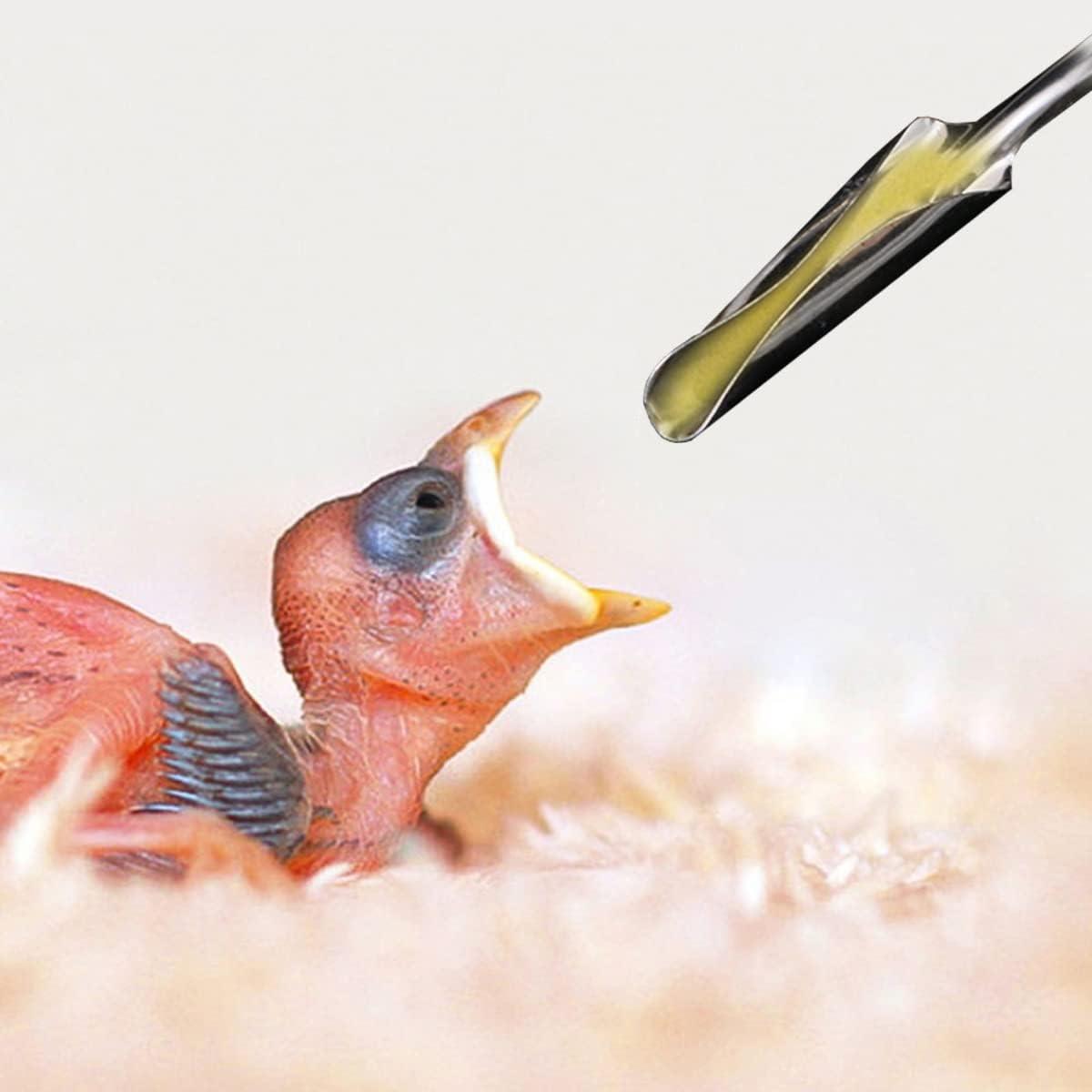 Bird Feeding Syringe Set Baby Birds Syringe Feeder Parrot Feeding ...