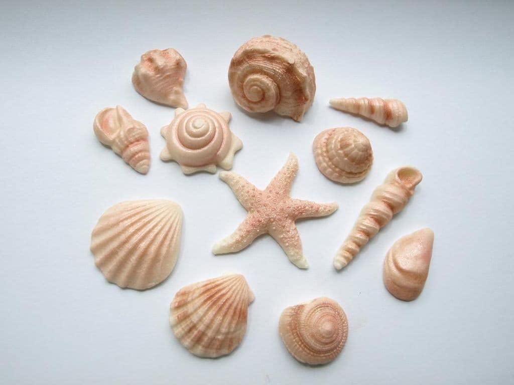 Rainbow Cake Toppers 24x Edible Sea Shells Cupcake Decorations Mermaid ...