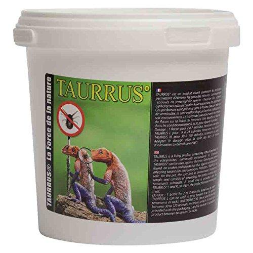Taurrus Mite Remedy - Large | Buy Now with Express International ...
