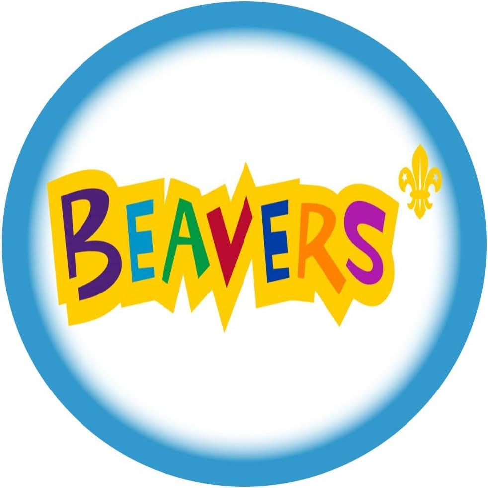 24 Fabulous Pre-Cut Edible Wafer Cake Toppers: Beavers | Buy Now with ...
