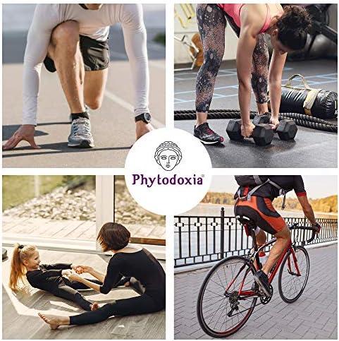 Physio Gel 2.5 fl oz - Arnica Natural Gel for Back, Muscle, Neck, and ...