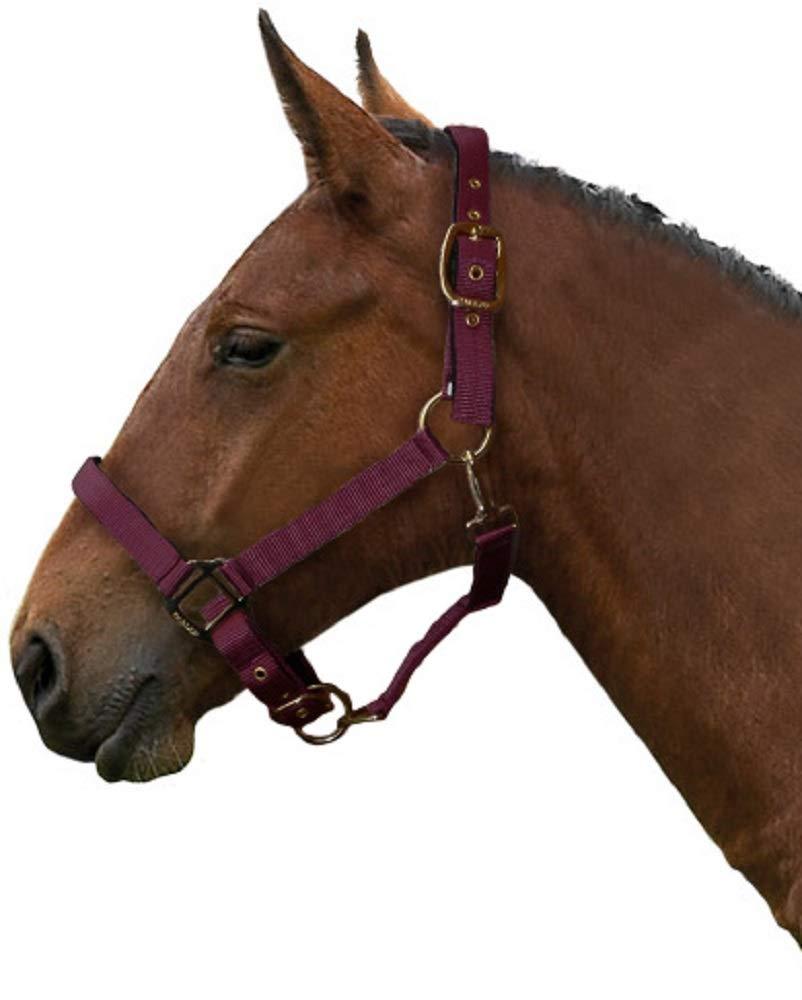 Gallop Adjustable Padded Headcollar Cob Size Burgundy | Buy Now with ...