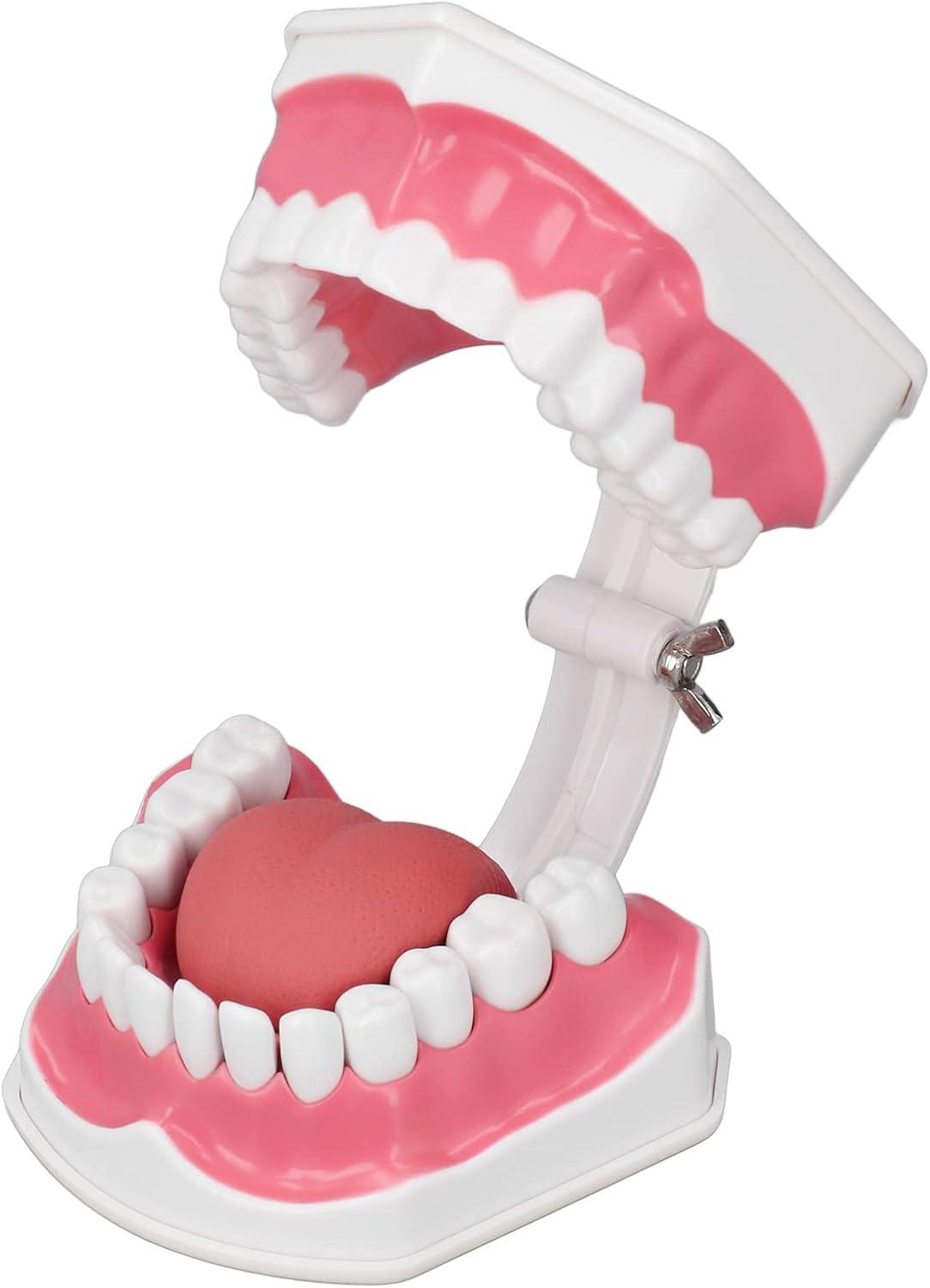 Vomeko Tooth Brushing Practice Model for Kids - Ideal Training Set with ...