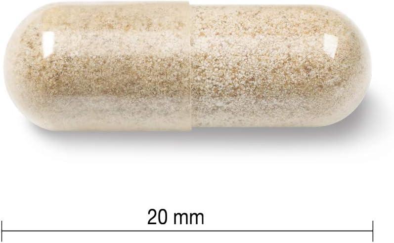 Jamieson Laboratories Gentle Iron 28mg - 90 Count | Gentle on Stomach ...