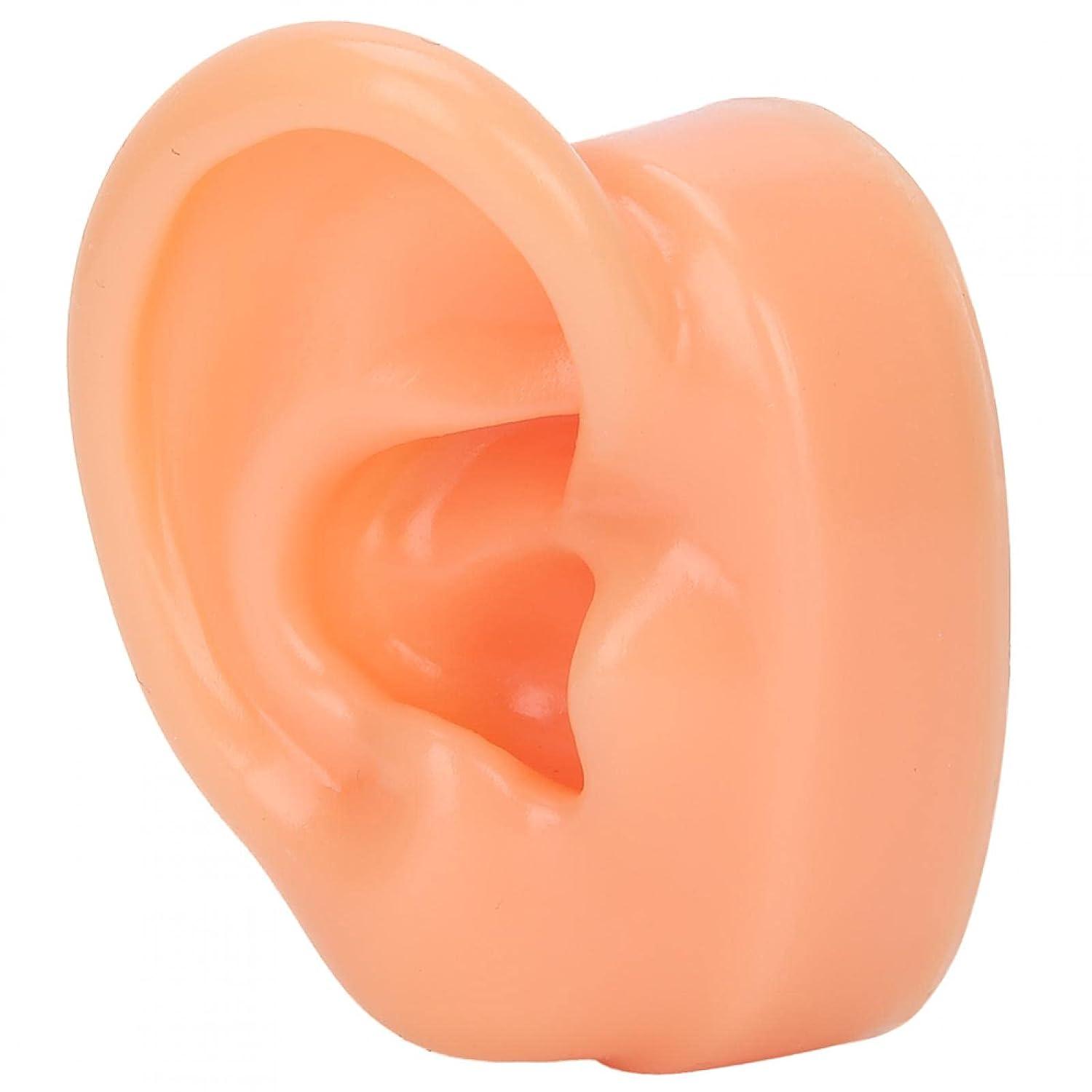 Silicone Right Ear Model for Hearing Aids | Flexible & Soft Simulation ...