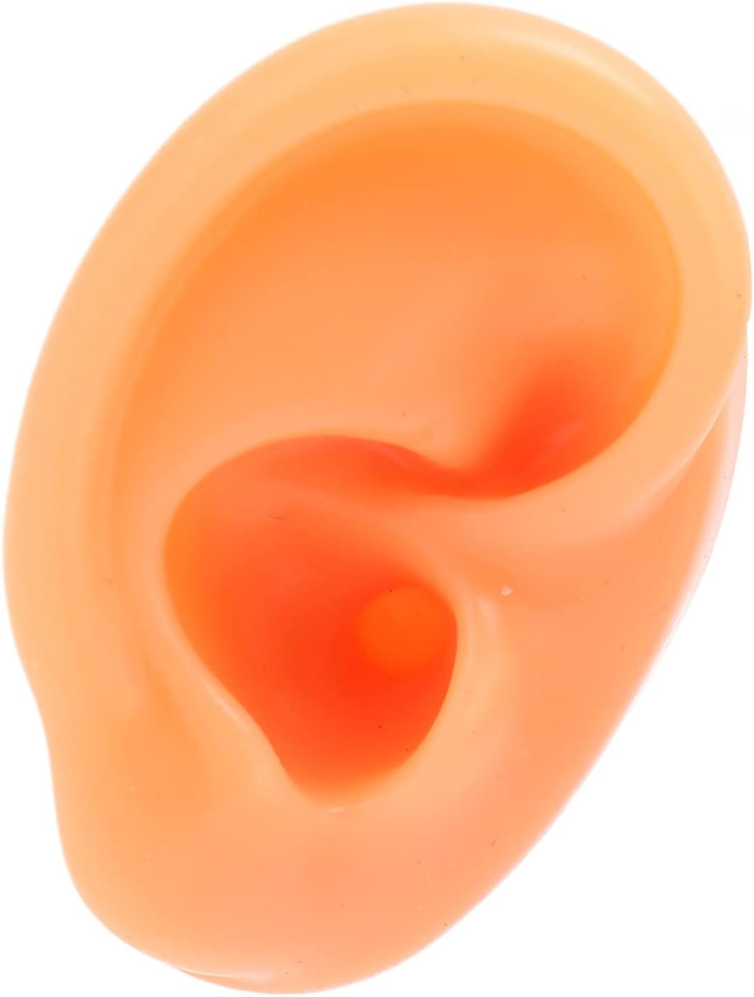 Flexible Silicone Human Ear Model for Acupuncture Training (Right ...