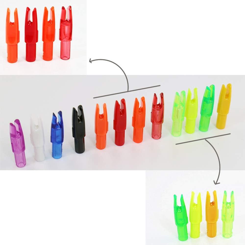Zhan Yi Arrow Nocks 0.246 Inserts 6.20mm 60 Pack - Standard Size for 0. ...