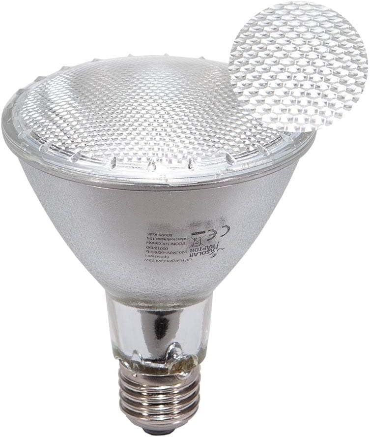 Buy SOLAR RAPTOR UV Halogen Spot 75W - Reptile Heat Lamp & Daylight ...