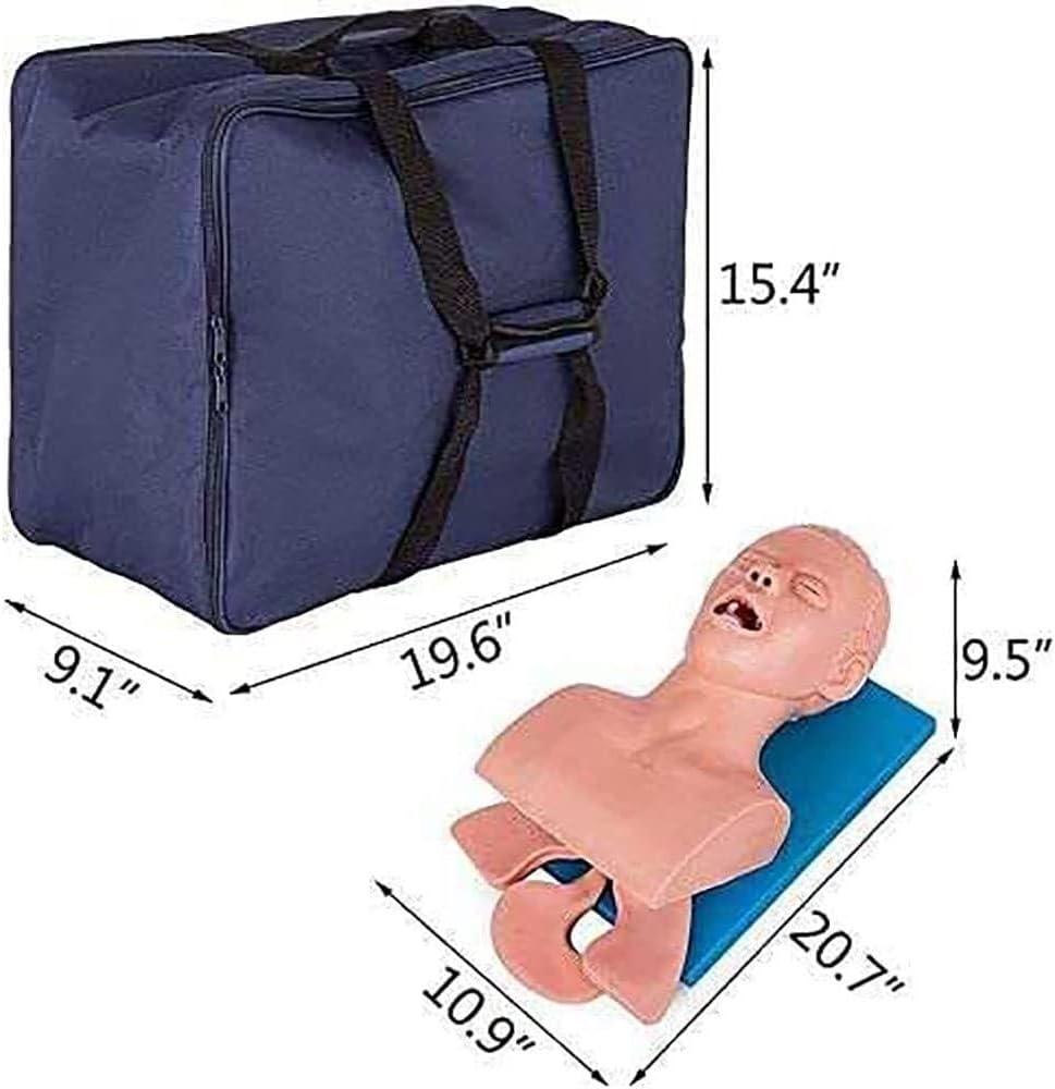 Adult Intubation Model - Realistic Tracheal Intubation Simulator for ...