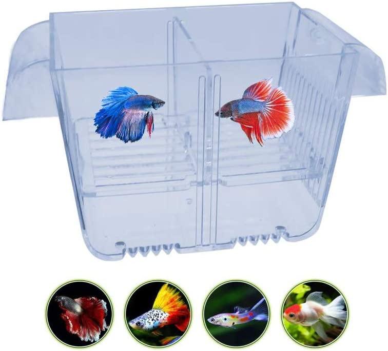Lefunpets Aquarium Fish Breeding Box - Double Guppies Hatching ...