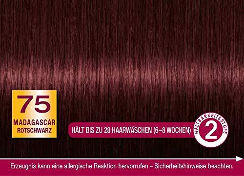 Schwarzkopf Country Colors Intensive Tint Hair Color - 75 Madagascar ...
