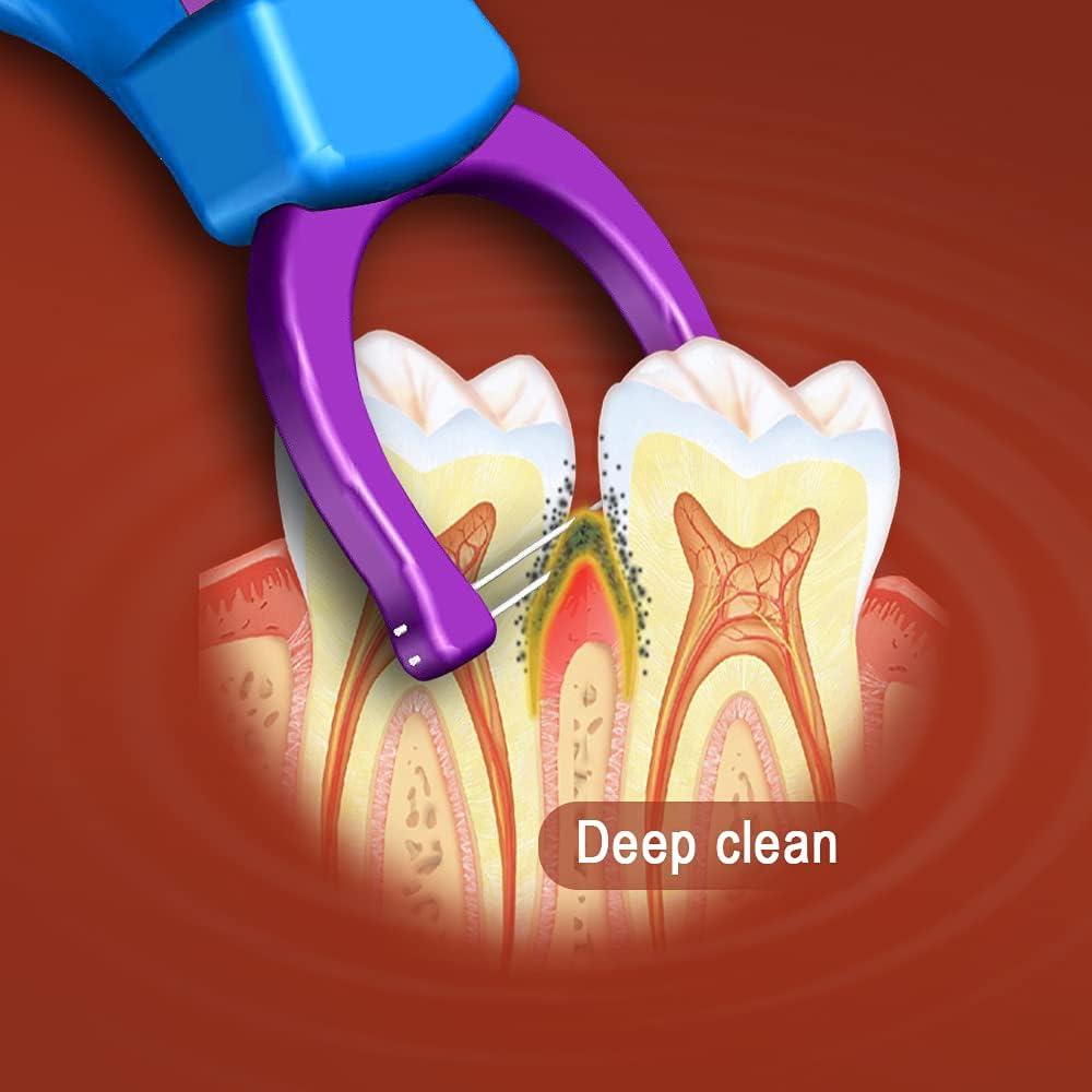 TEEsmile Evolutionary Dental Flossers Kit - 101 Piece Set with Long ...