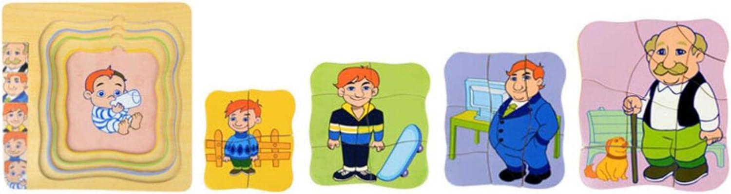 Luwecf Montessori Human Being Life Cycle Jigsaw Puzzle Preschool ...