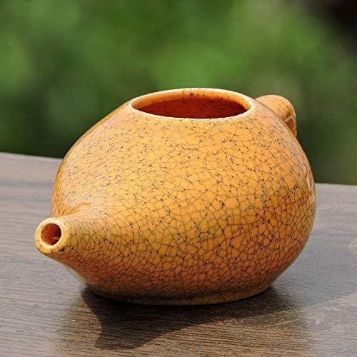 Ancient Impex Ceramic Neti Pot (270 ml) + 5 Neti Salt Sachets | Natural ...