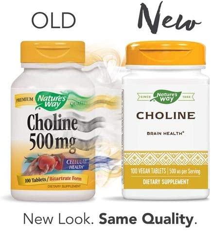 Nature's Way Choline 500mg 100 Tablets - Pack of 2 | Essential Brain ...