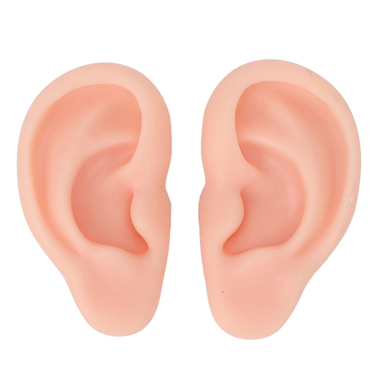 Artificial Ear Model Realistic Practice Experience Reusable Silicone ...