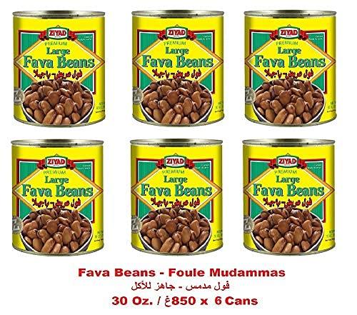 Fava Beans Premium Large 6-CANS (Kosher) Cooked & Ready to Serve - 30 ...