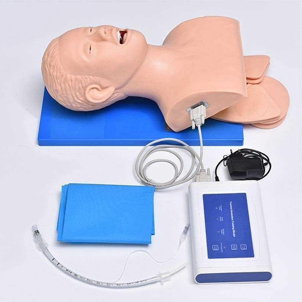 Tracheal Intubation Simulator | Oral Nasal Airway Management Trainer ...