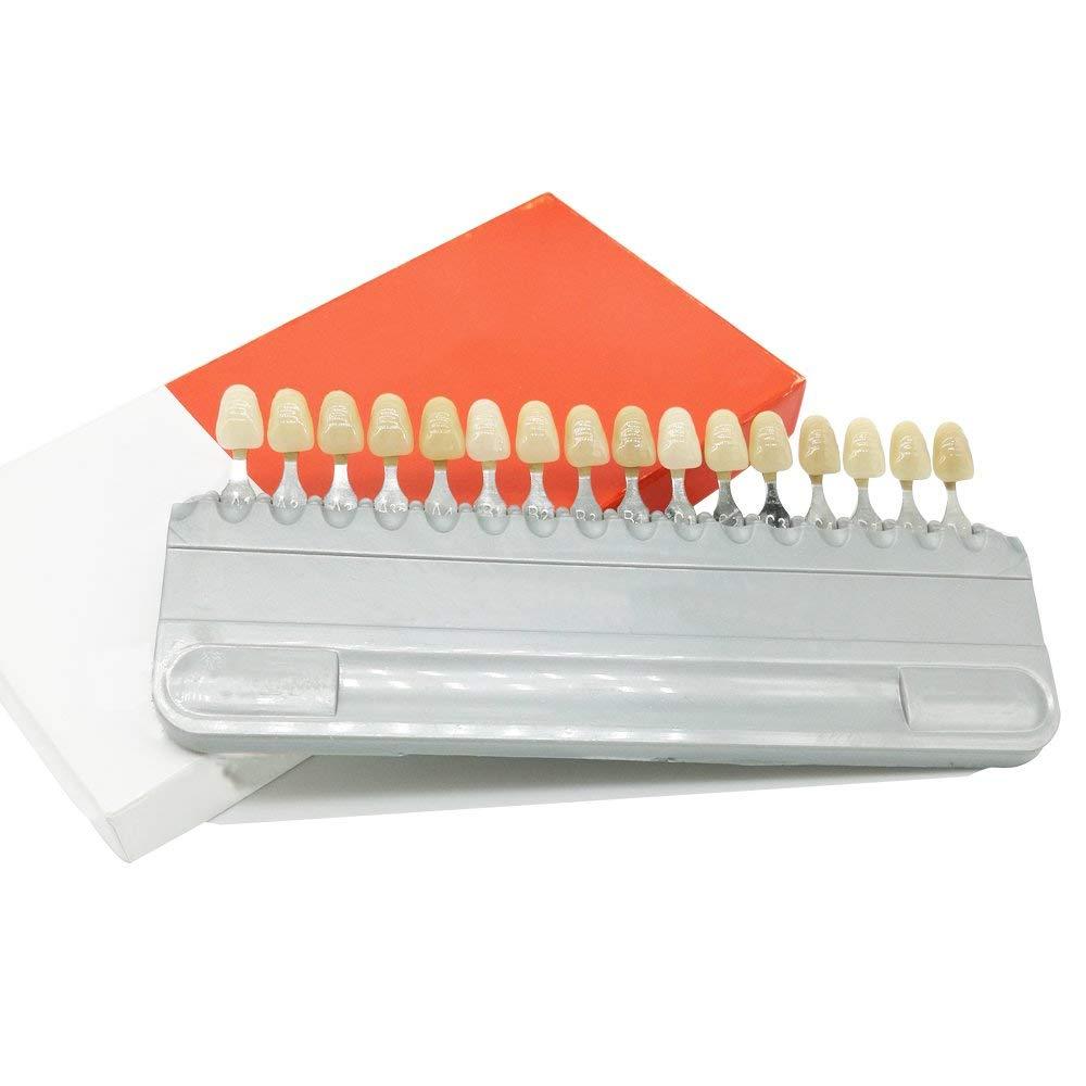 16 Colors Teeth Whitening Shade Guide | 3D Tooth Color Chart - Complete ...