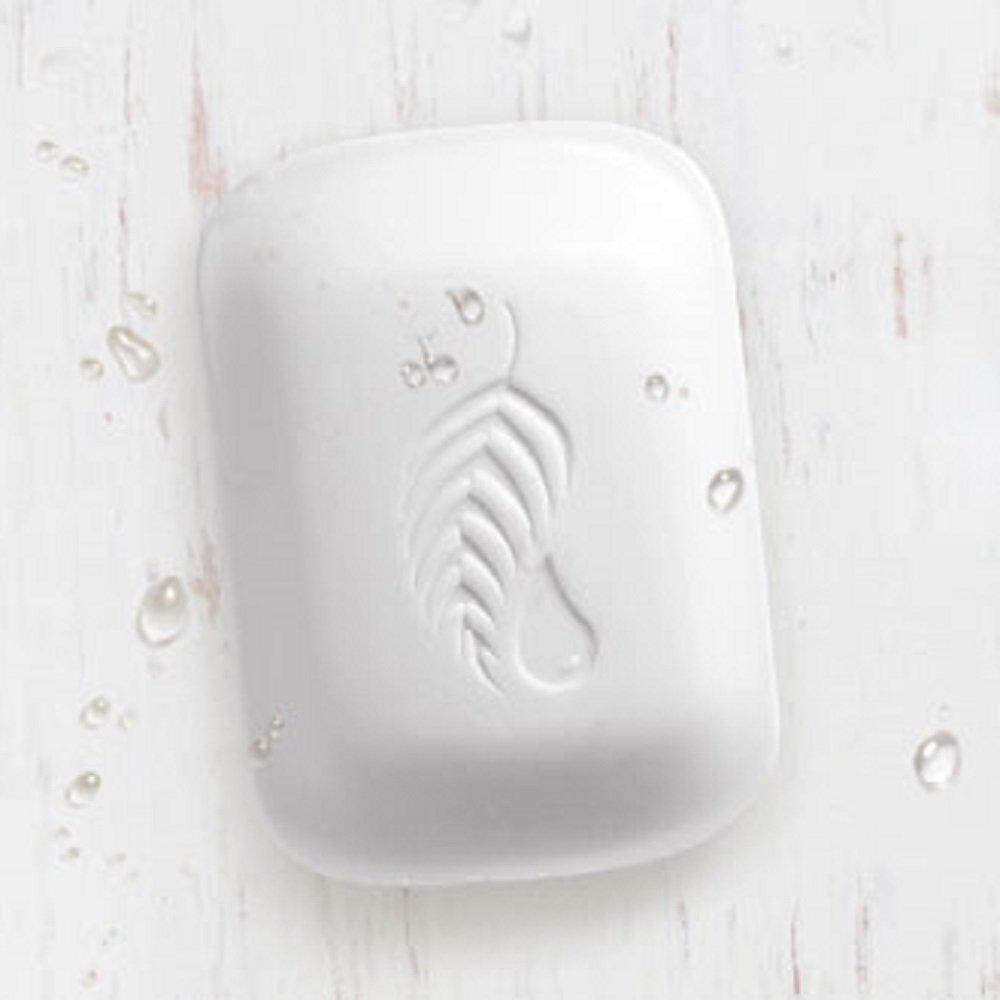 Melaleuca Platinum BarTM - Premium Skincare Bar infused with Melaleuca ...