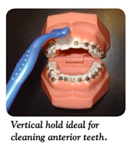 Curvex II Toothbrush - Advanced ergonomic design for superior cleaning ...