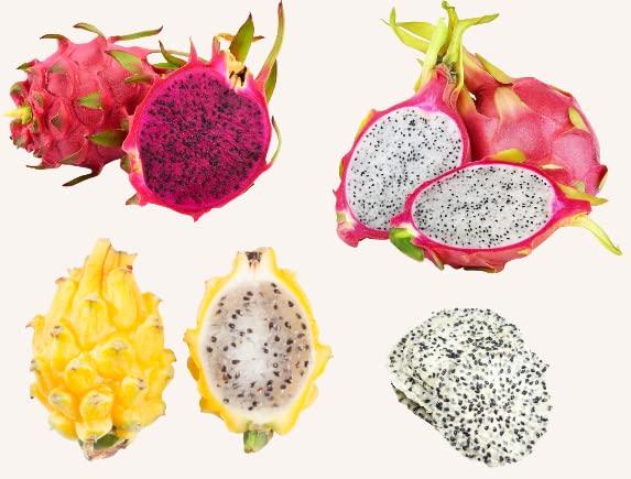 Fresh dragon fruit selection box - white red and yellow dragon fruit ...