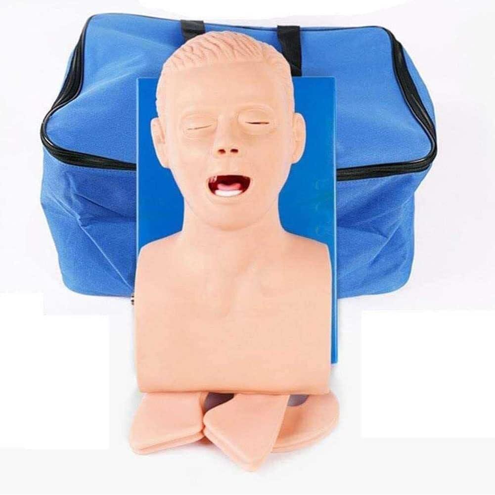 Adult Intubation Model - Realistic Tracheal Intubation Simulator for ...