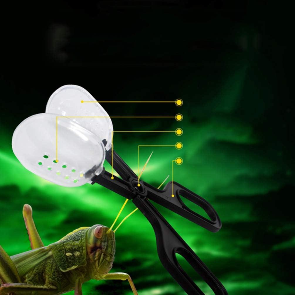 Toyvian Reptiles Zonge Clip - Feeding & Cleaning Tool for Amphibians ...