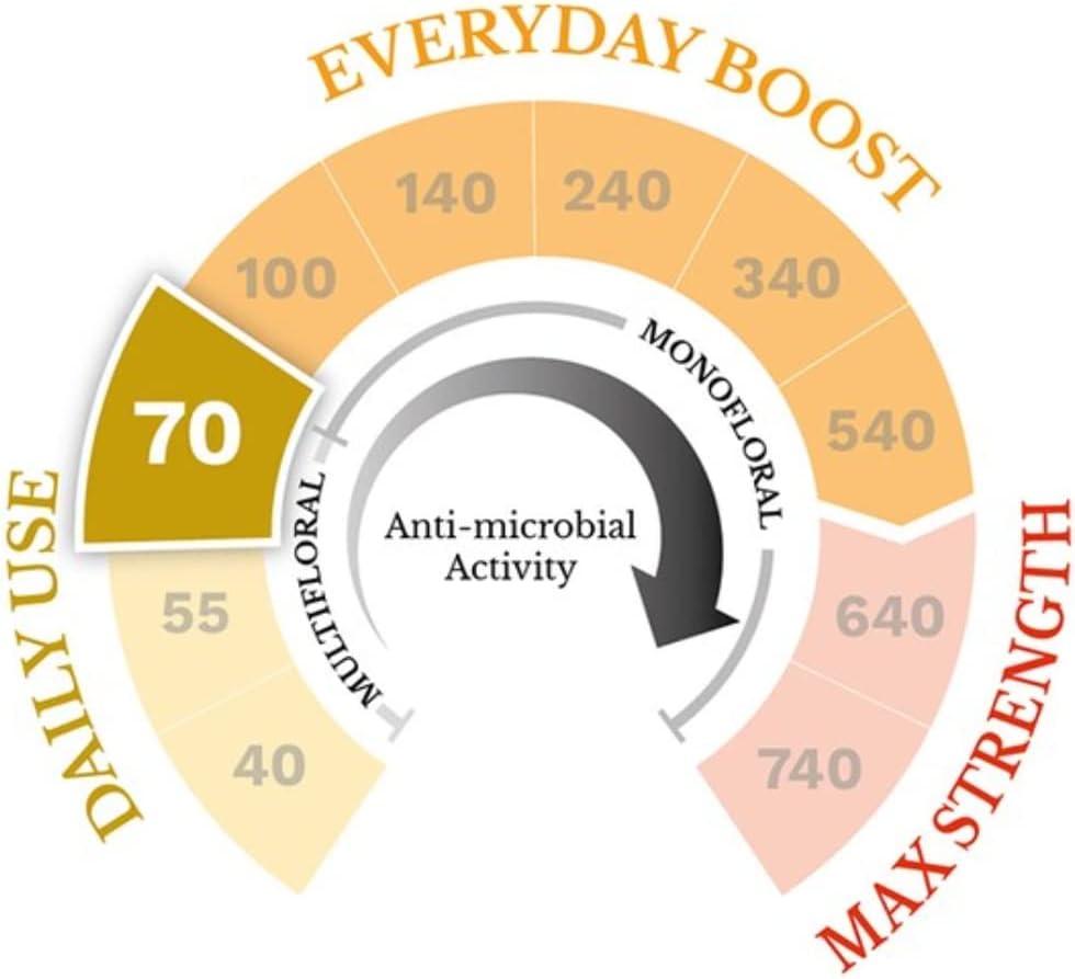 Manuka Pharm Manuka Honey MGO 70 250g x 2 packs