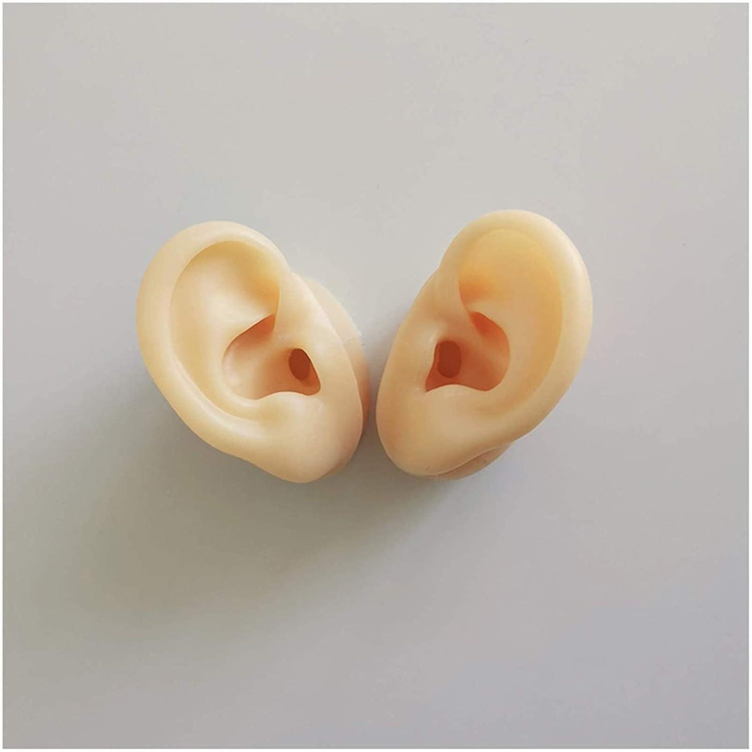 Medical Teaching Template Template Silicone Ear Template for ...