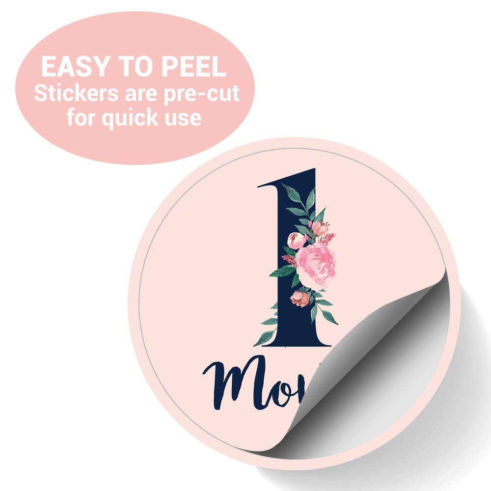 Baby Monthly Stickers | Floral Baby Milestone Stickers | Newborn Girl ...