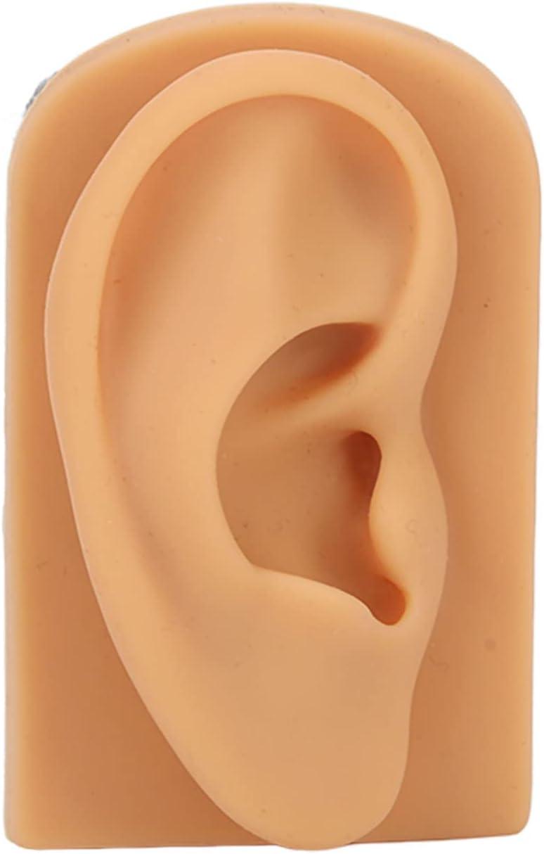 Flexible Silicone Right Ear Model | Waterproof Hearing Tool Display for ...