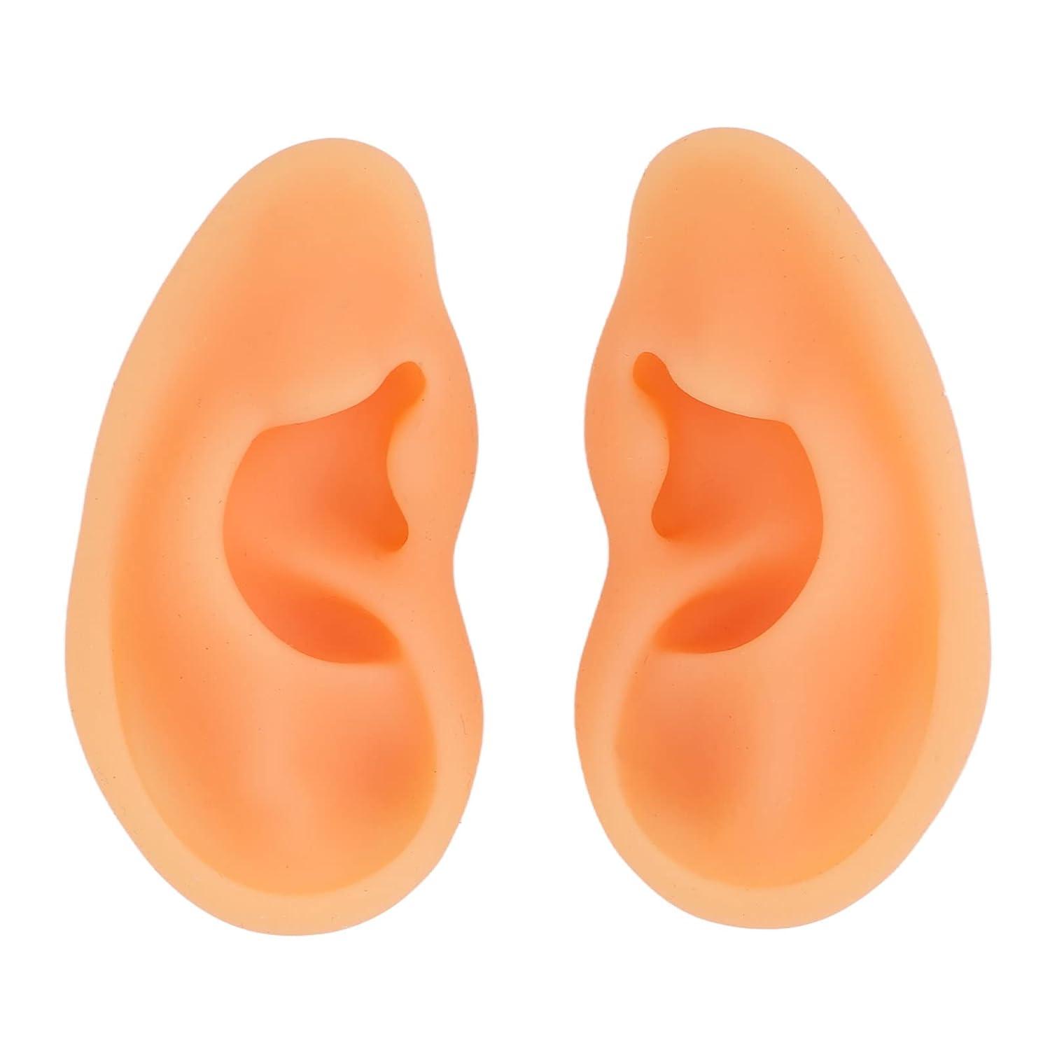 Ear Model ANGGREK 2 Pieces Ear Modeling Tools Hearing Amplifier ...