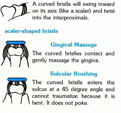 Collis-Curve Variety Pack: All-in-One Fitness Kit for Total Body ...