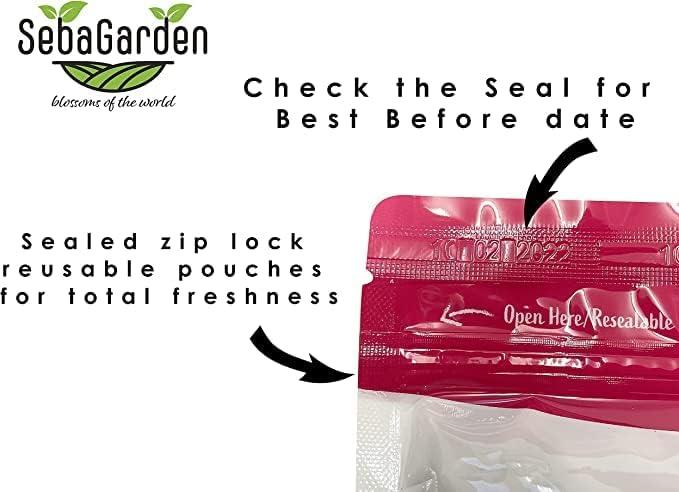 Seba Garden Seedless Dried Golden Raisins 1kg All-Natural Whole Natural ...