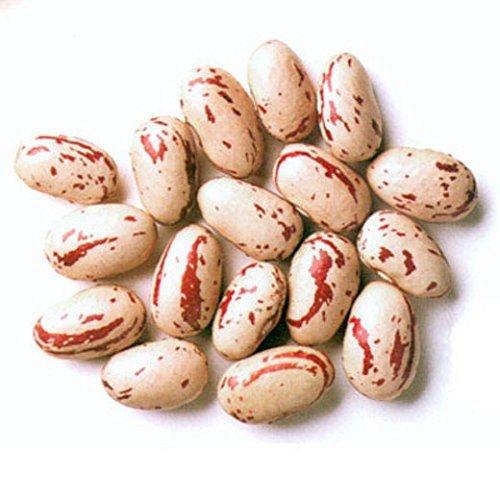 Organic Rosecoco Beans (Crab Eye Beans) - 1kg | High Quality ...