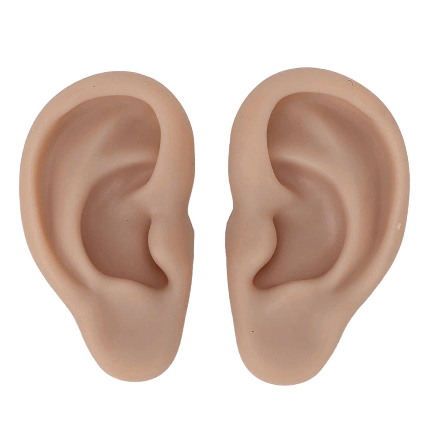 Silicone Flexible Human Ear Model - Dark Skin Color | Buy Now with ...