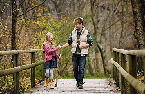 Ricola Dual Action Honey Lemon Cough Suppressant Throat Drops 175ct ...