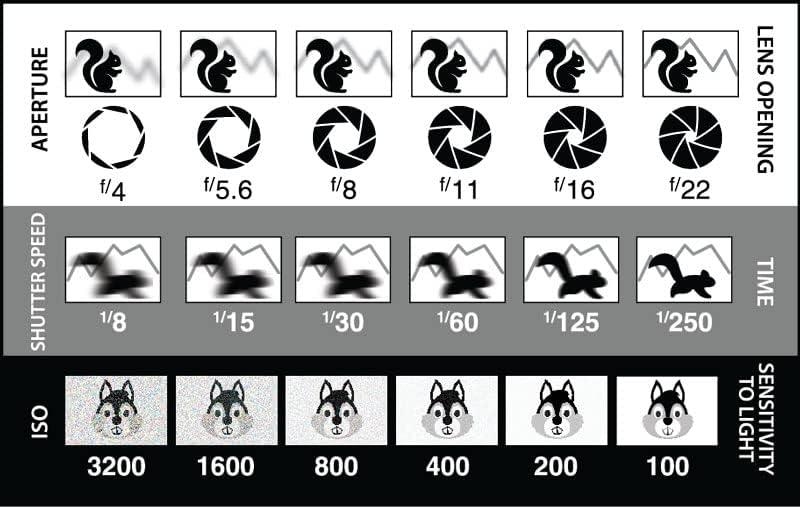 DSLR/Mirrorless Photography Cheat Sheets - Pocket-Sized Reference Card ...