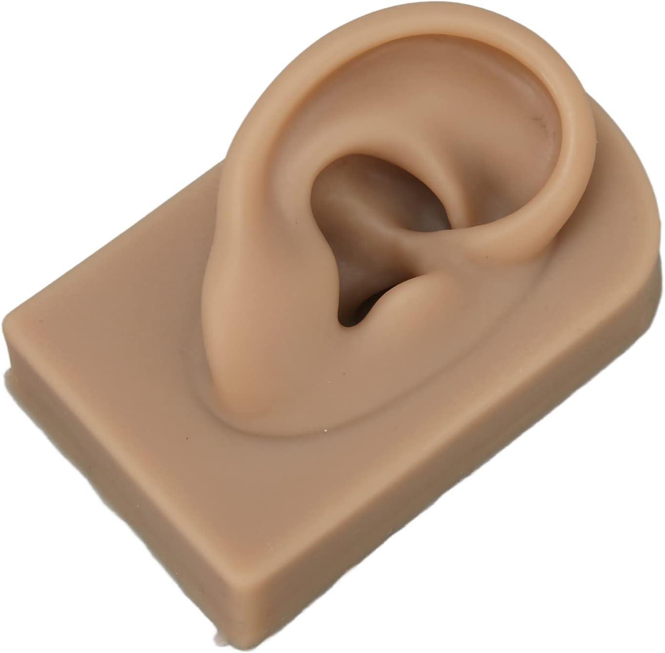 Luqeeg Soft Silicone Ear, Nose, and Mouth Model Set for Suture Practice ...